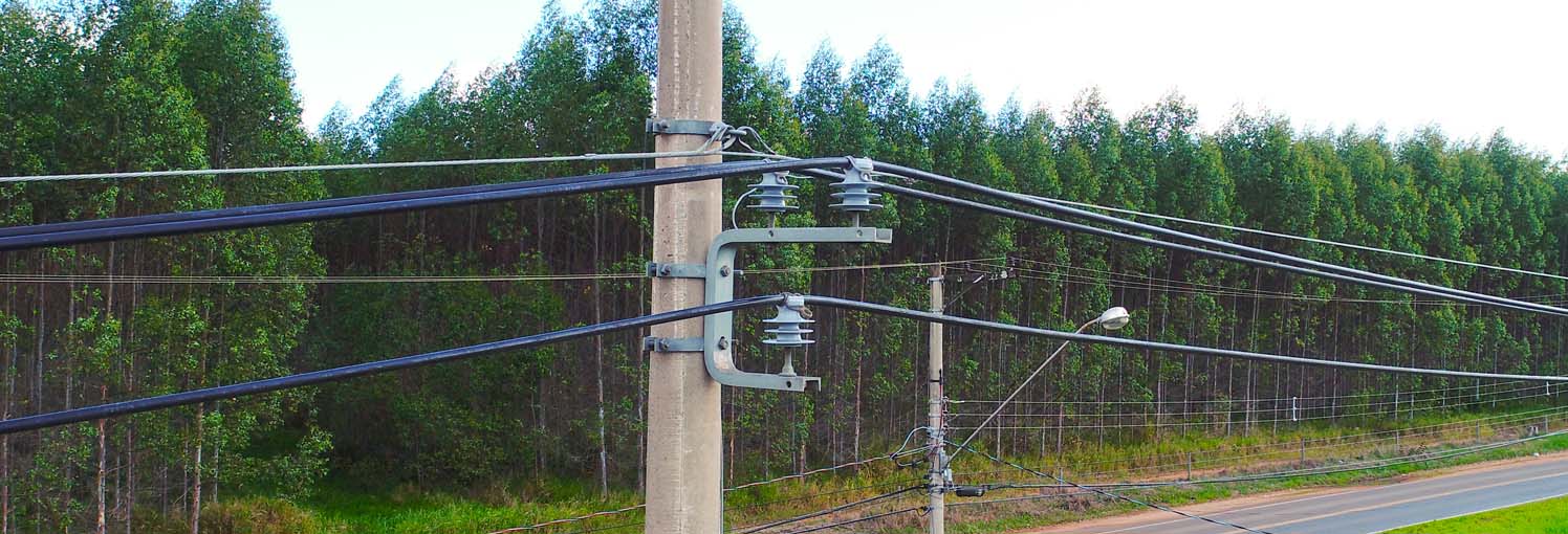Isolador de Pino Polimérico de 15kV à 35kV Cód. IPPA 15KV / 35KV – ASW ...